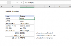 Excel LOWER function | Exceljet